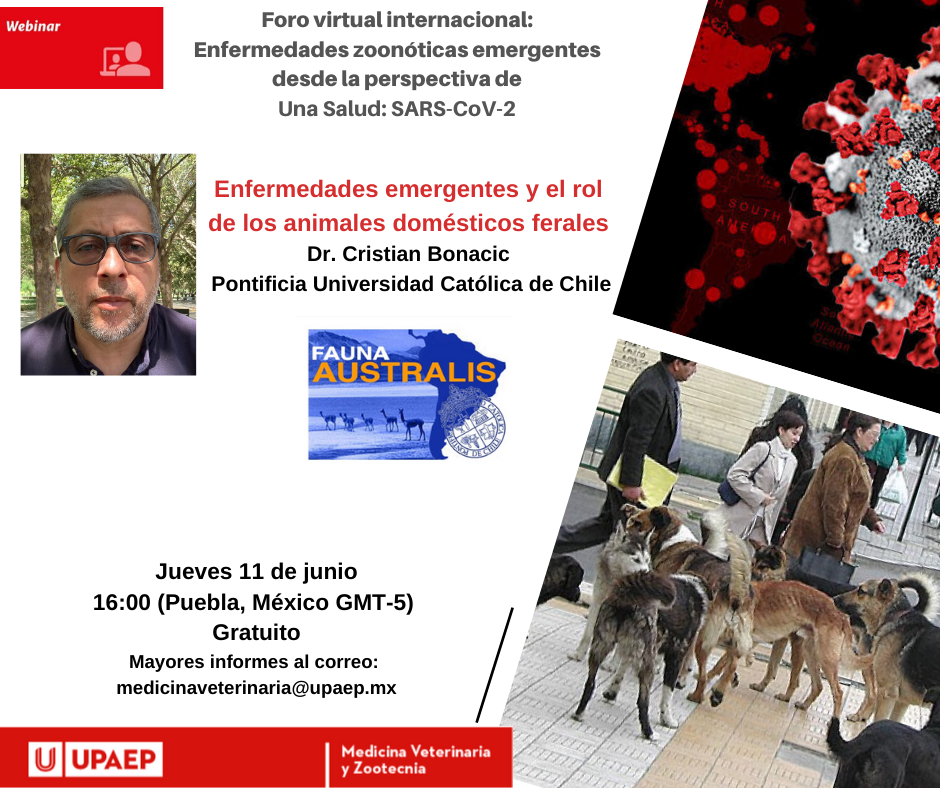 Foro virtual internacional «Enfermedades zoonóticas emergentes desde la ...
